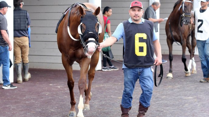 Indianapolis Horse Racing Day Info - Horseshoe Indianapolis, IN