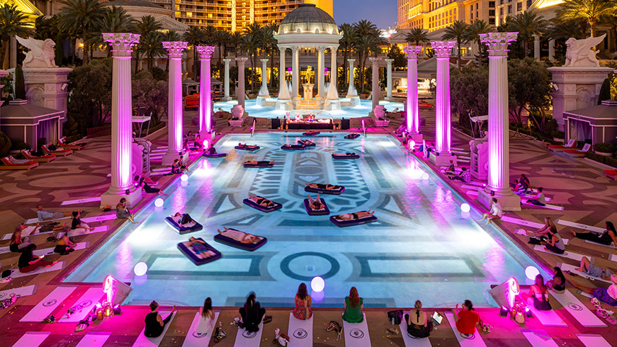 Wowing with Wellness