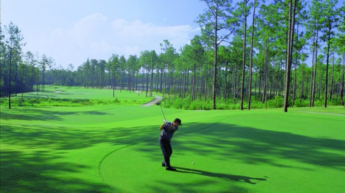 Things to Do in Biloxi MS | Harrah's Gulf Coast